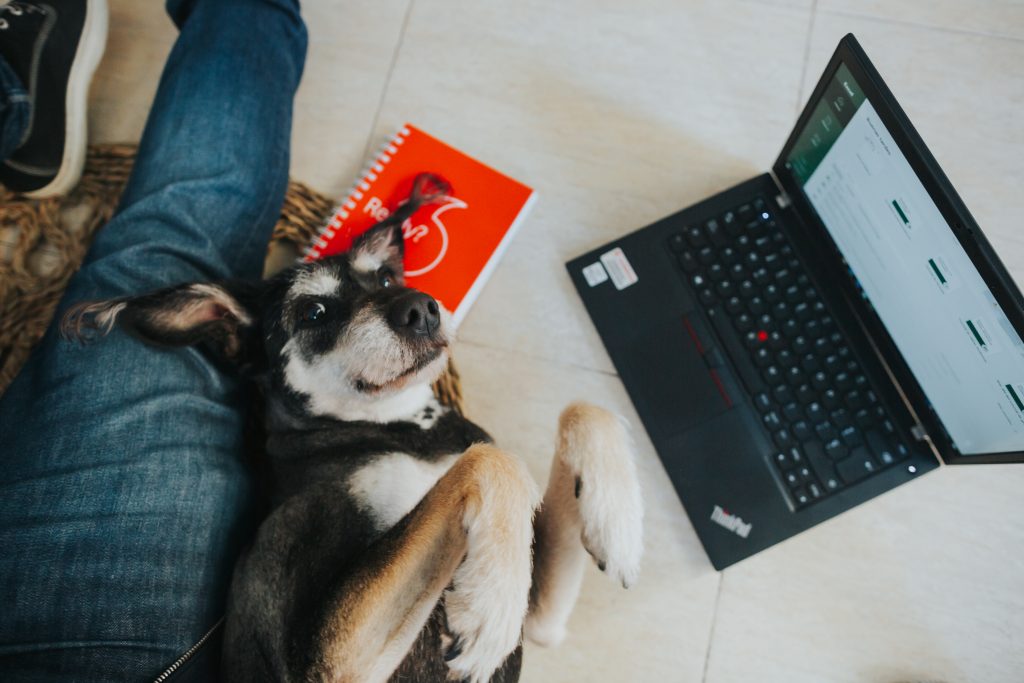 Vodafone – Together we can